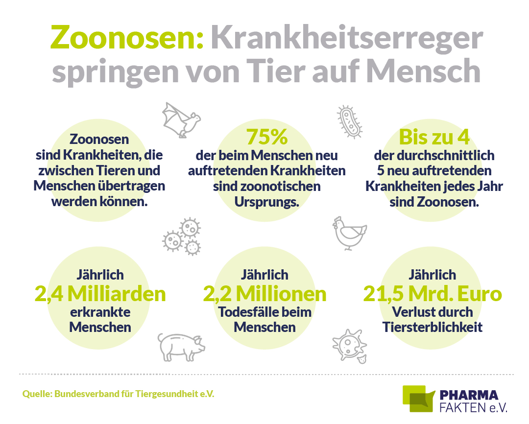 Vital in der Region - Gesundheitsgefahr Zoonosen: 2,4 Milliarden Erkrankte und 2,2 Millionen ...
